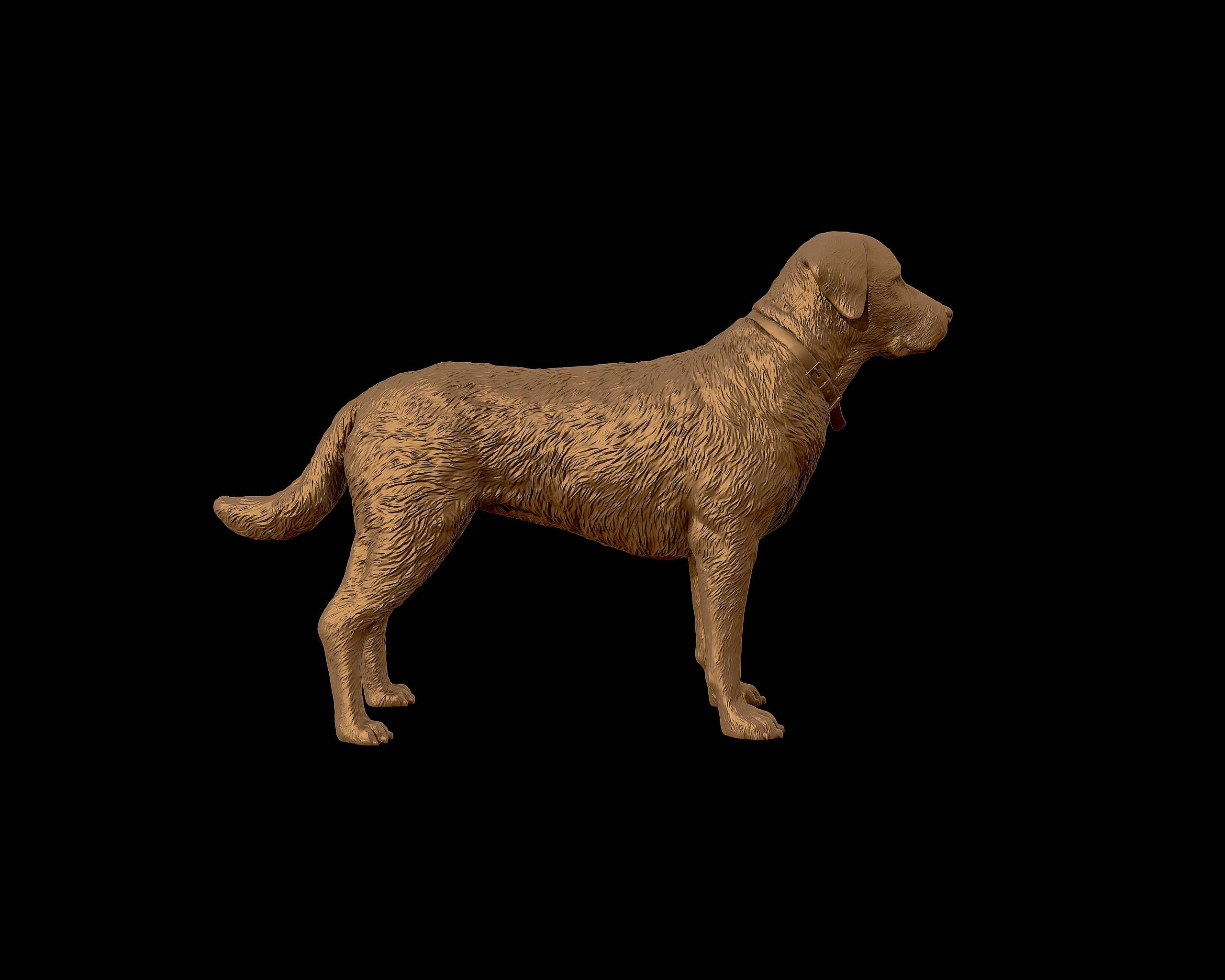 STL file Labrador Retriever model 3D print model 🗿 (OBJ)・3D printing ...