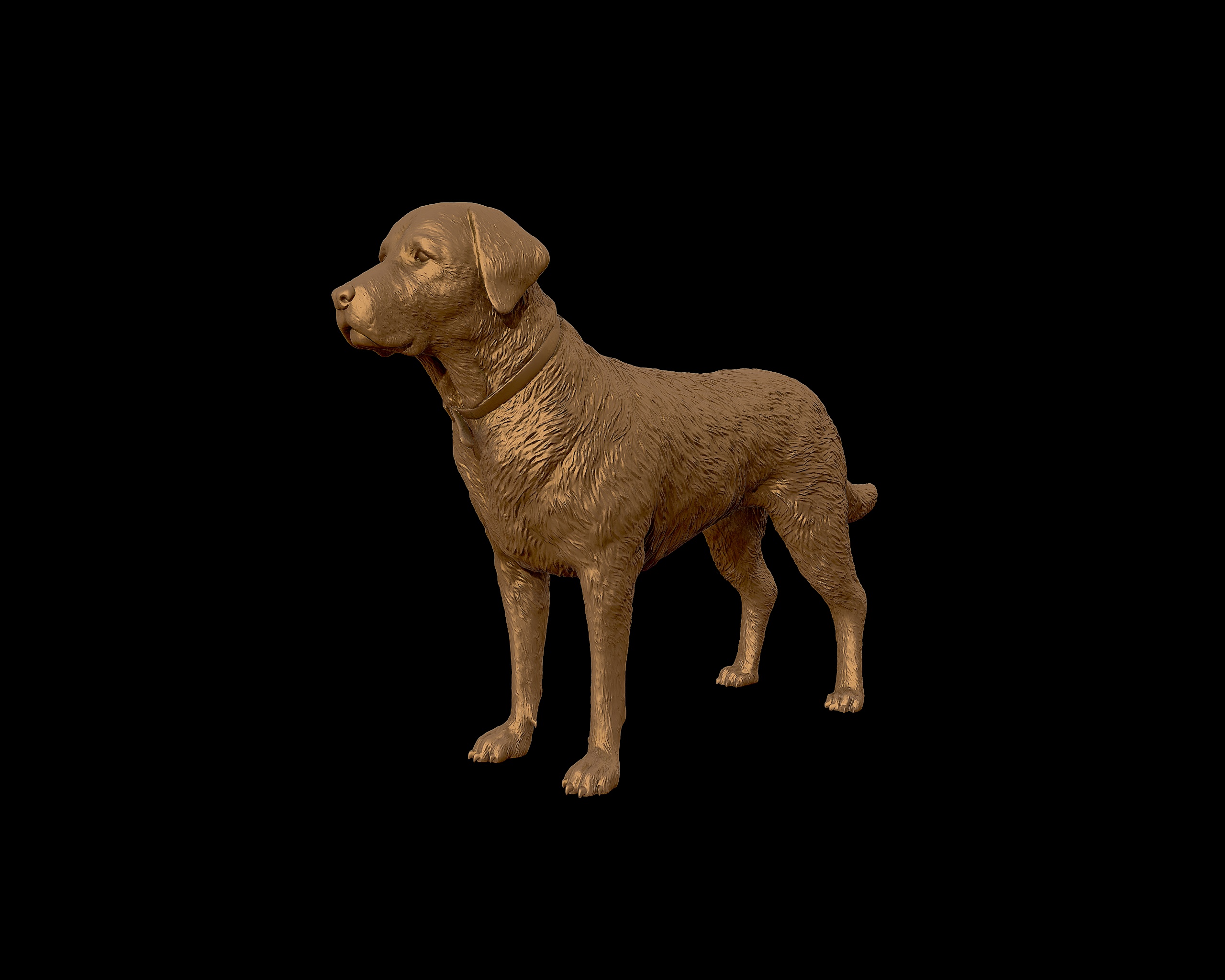 STL file Labrador Retriever model 3D print model 🗿 (OBJ)・3D printing ...