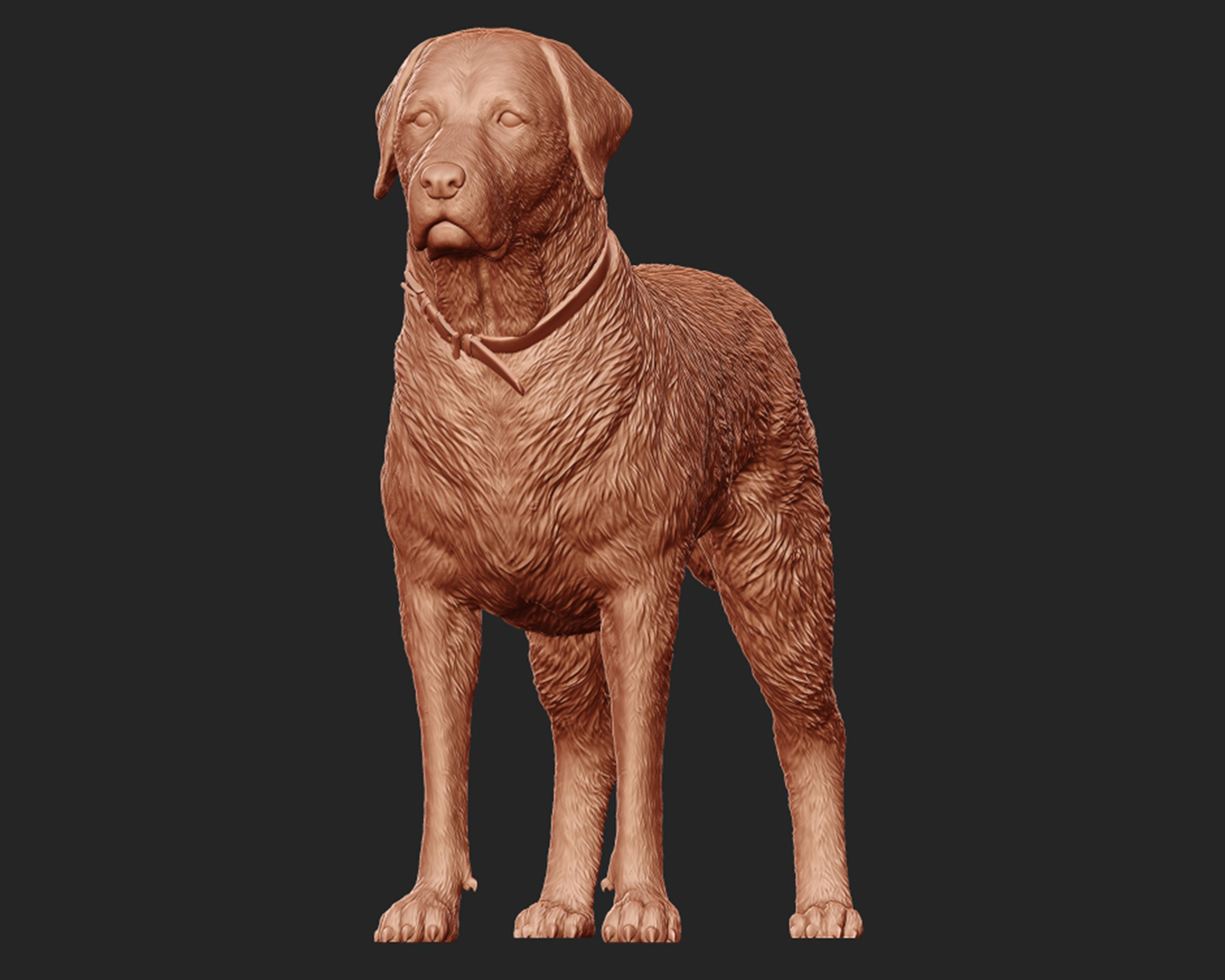 STL file Labrador Retriever model 3D print model 🗿 (OBJ)・3D printing ...
