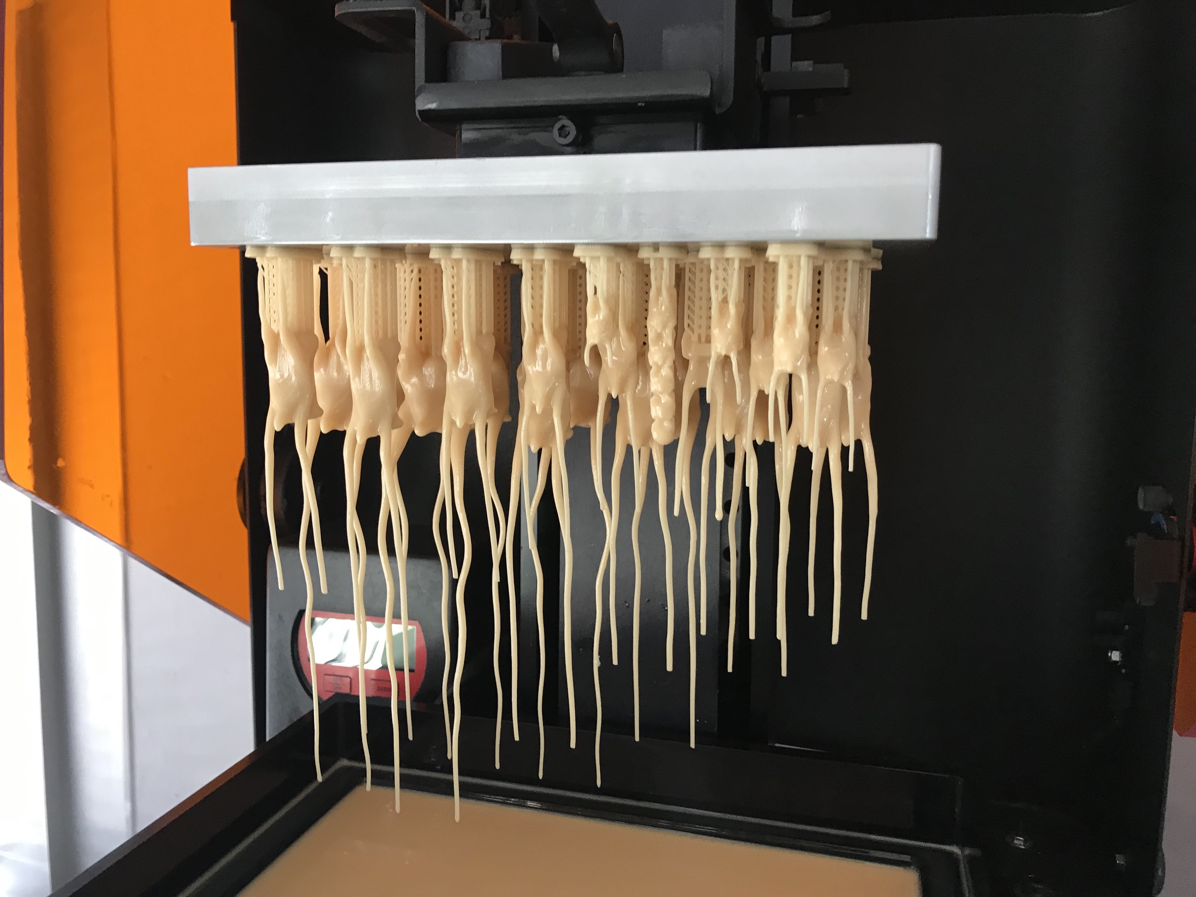 3D printed Life-size Vélociraptor skeleton Part01/05 • made with ...