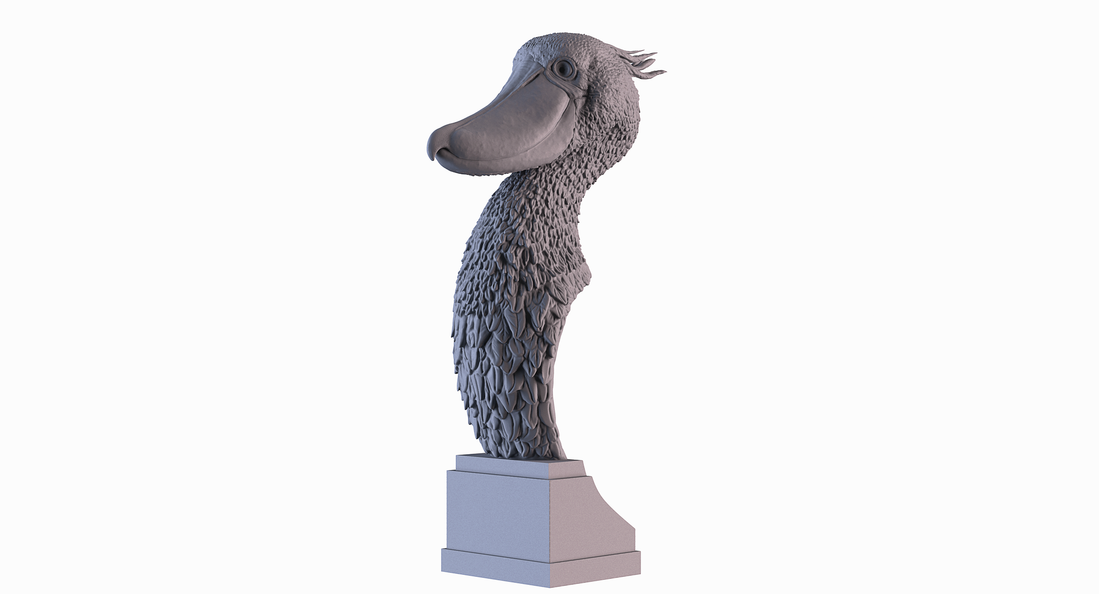 STL file Shoebill 🗿 ・3D printing design to download・Cults
