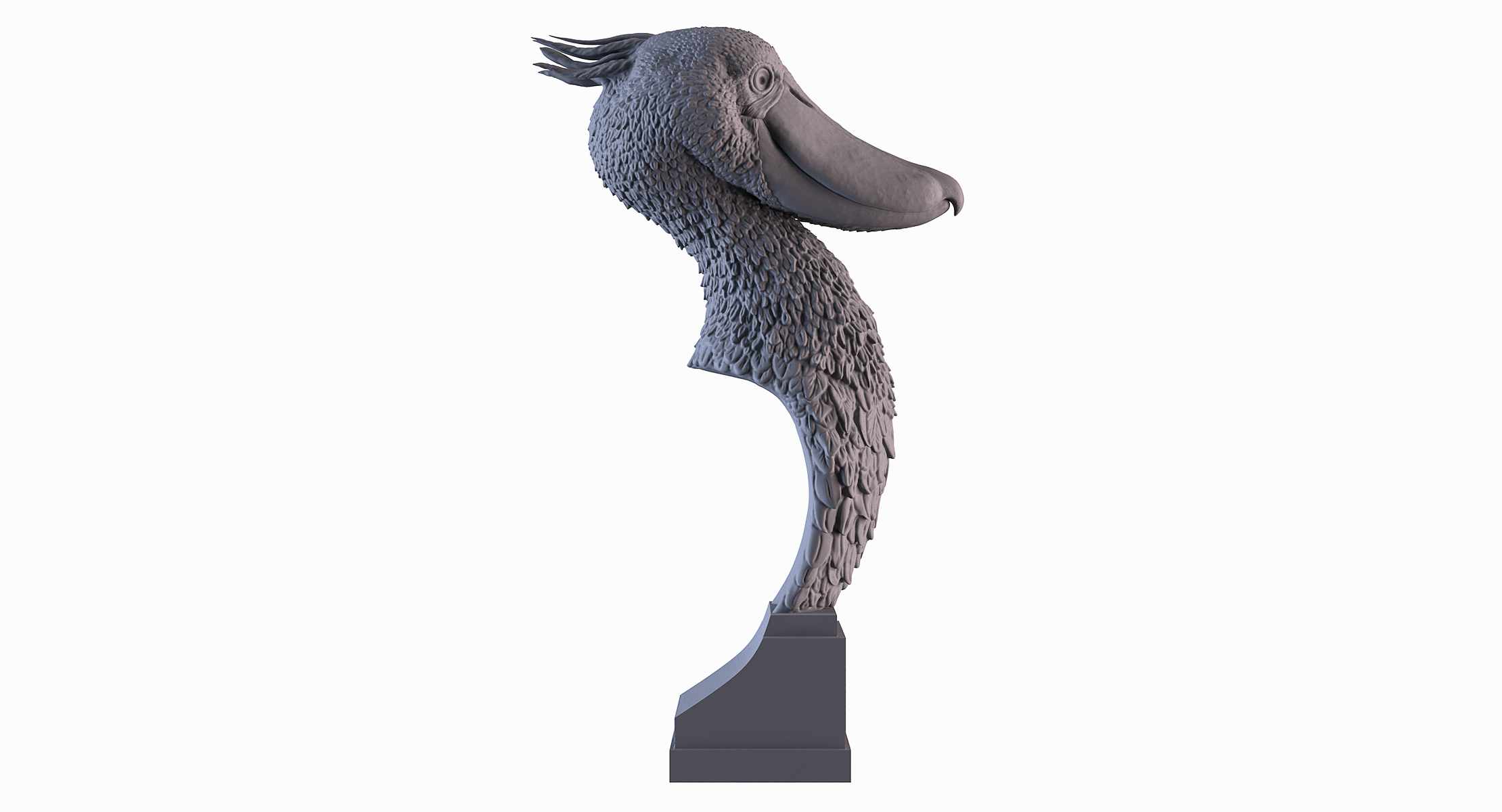 STL file Shoebill 🗿 ・3D printing design to download・Cults
