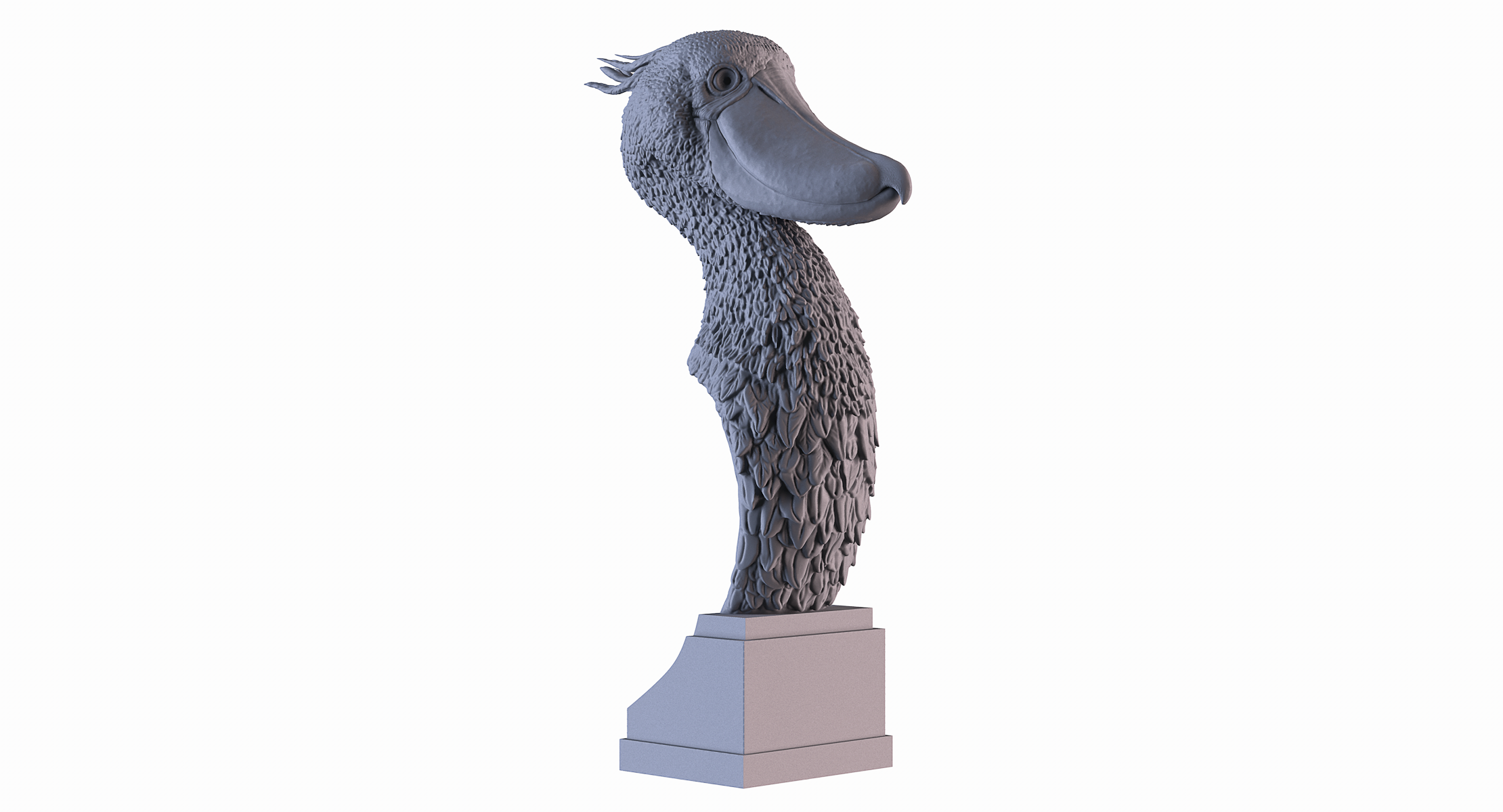 STL file Shoebill 🗿 ・3D printing design to download・Cults