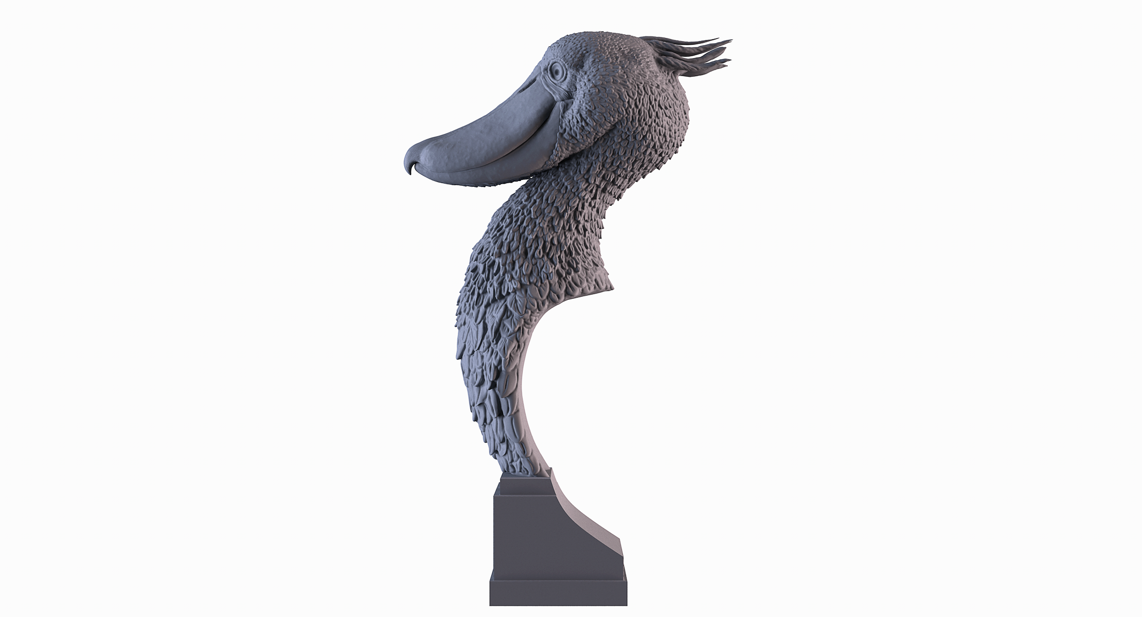 STL file Shoebill 🗿 ・3D printing design to download・Cults