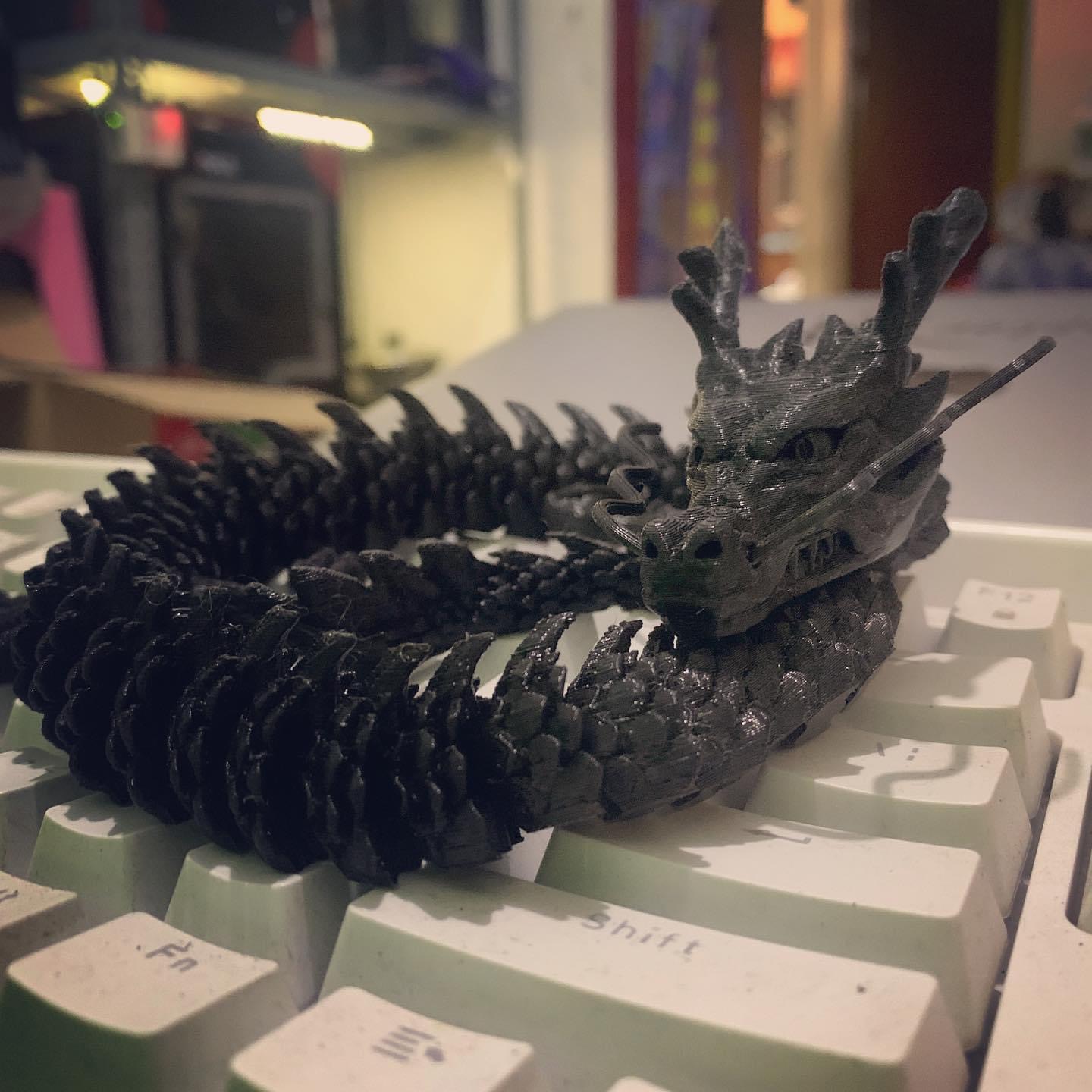 3D printer Articulated Dragon • made with Custom Anycubic 4max・Cults