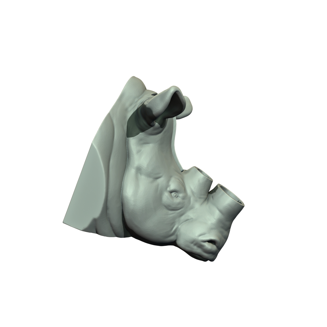 🦏 Rhinoceros Head・ STL File for ・Cults