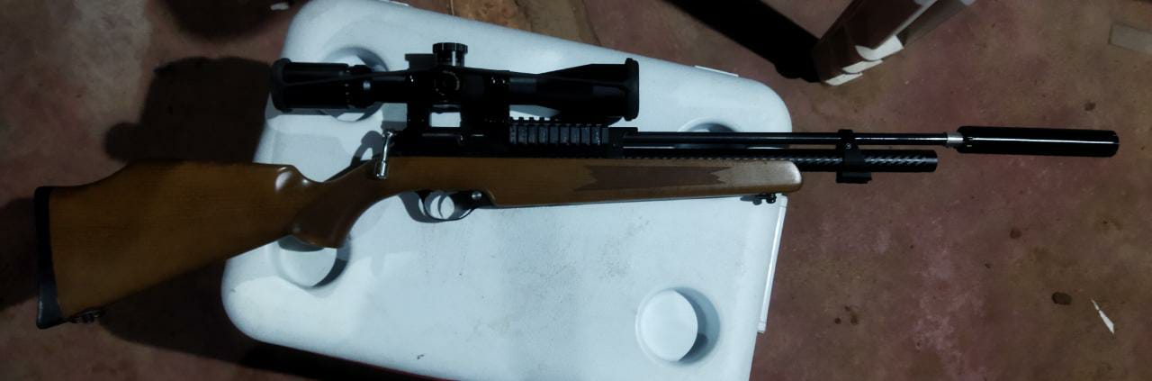 STL file over the barrel of the PR900w rail, sobre cano da PR900 👽 ...