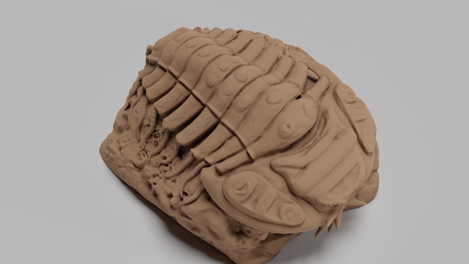 🦖 Trilobite・ STL File for ・Cults