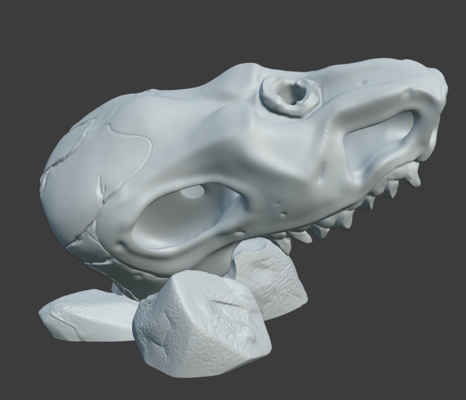 💀 Beast skull・Free STL File for ・Cults
