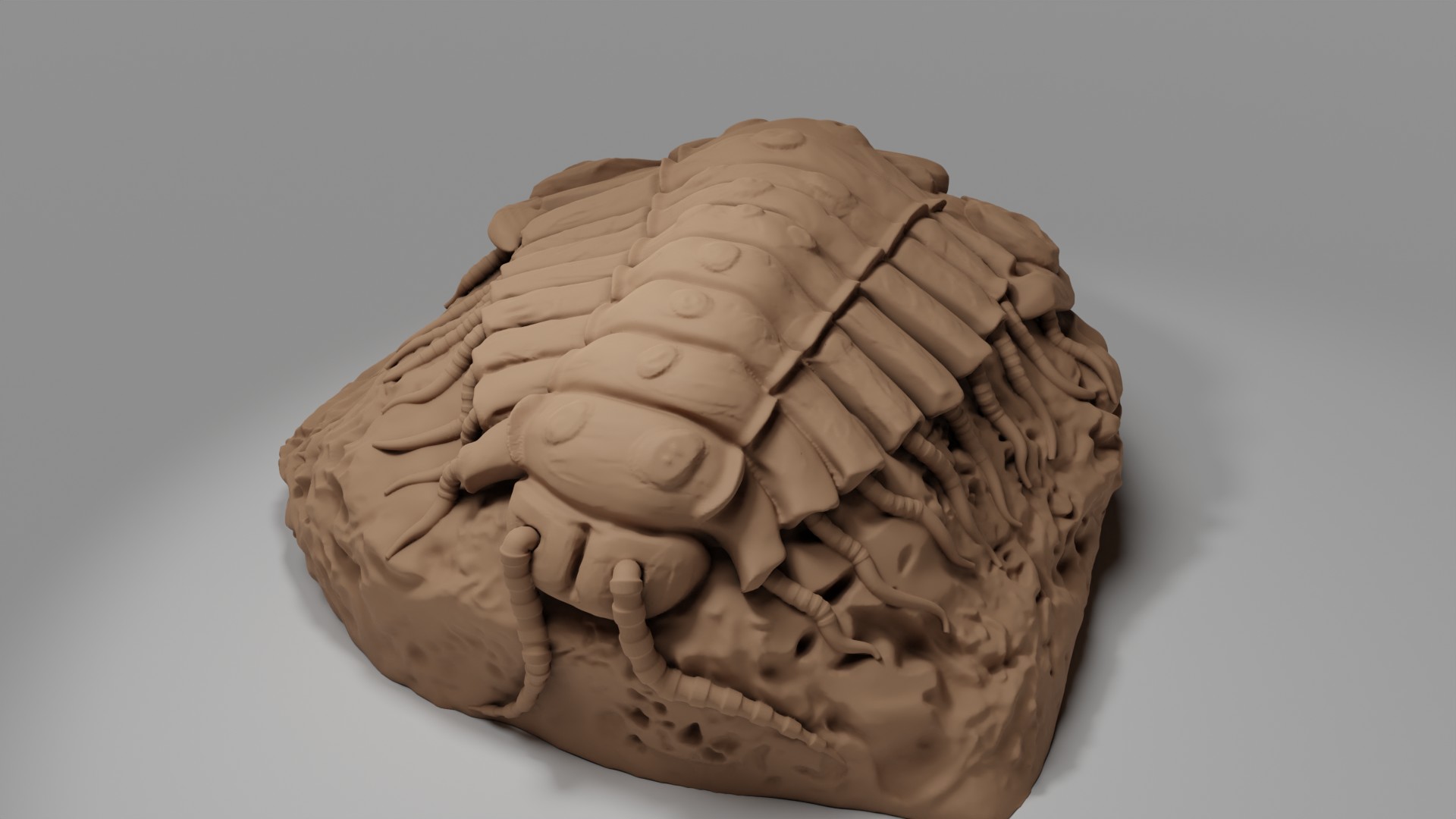🦖 Trilobite・ STL File for ・Cults