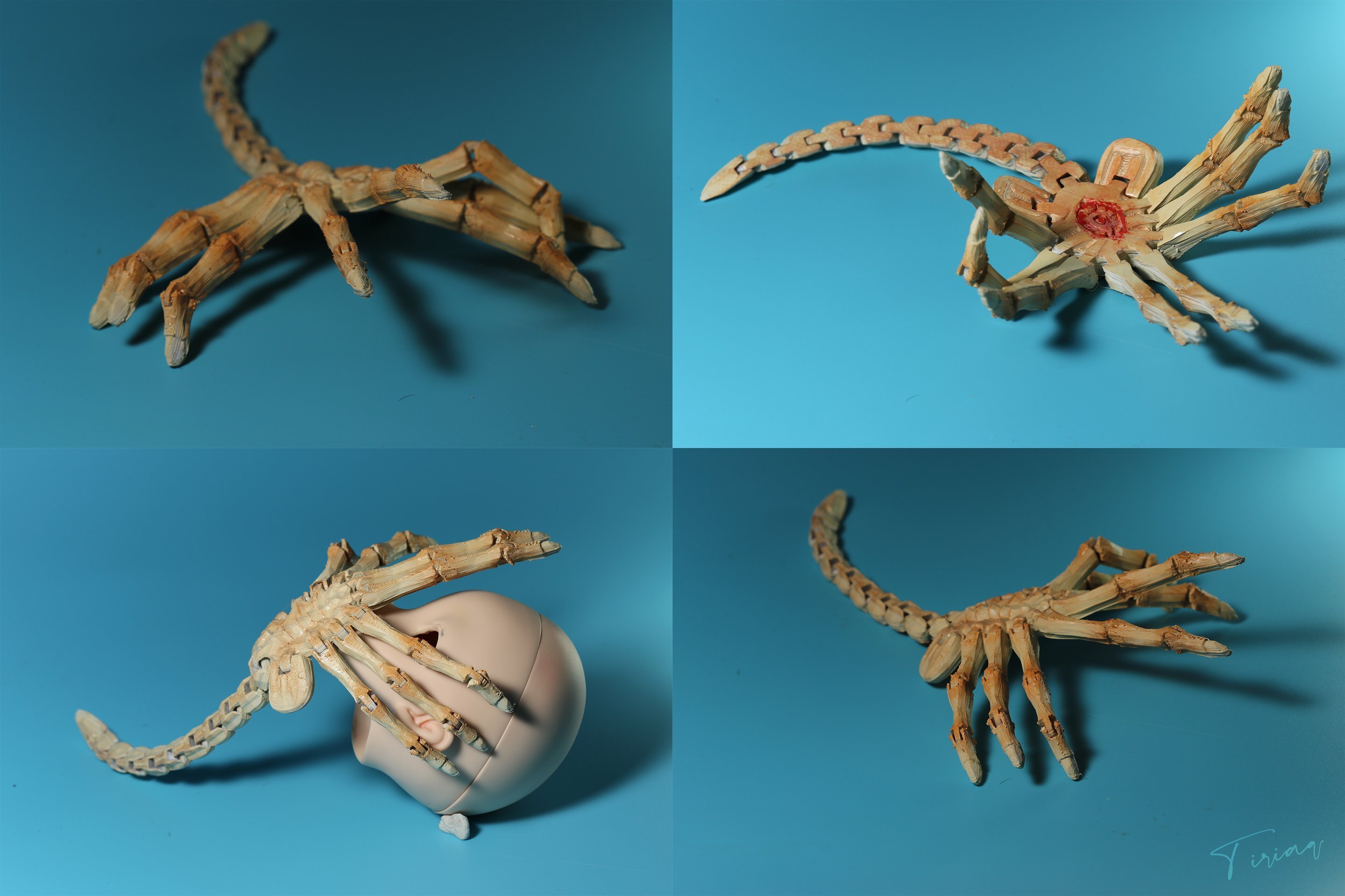 3D print Flexi-Facehugger・Cults