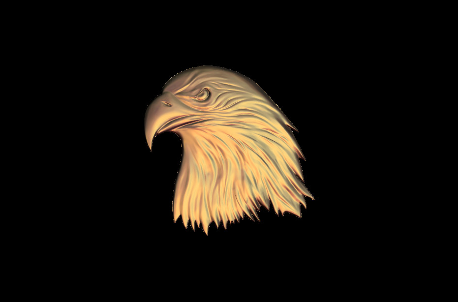 👨‍🦲 bald eagle・Free STL File for ・Cults