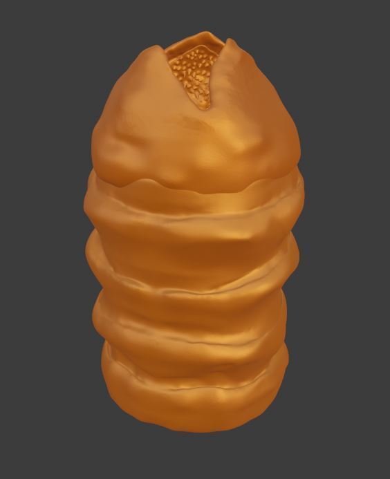 Free STL file Dune Sandworm 🎲 ・3D printer model to download・Cults