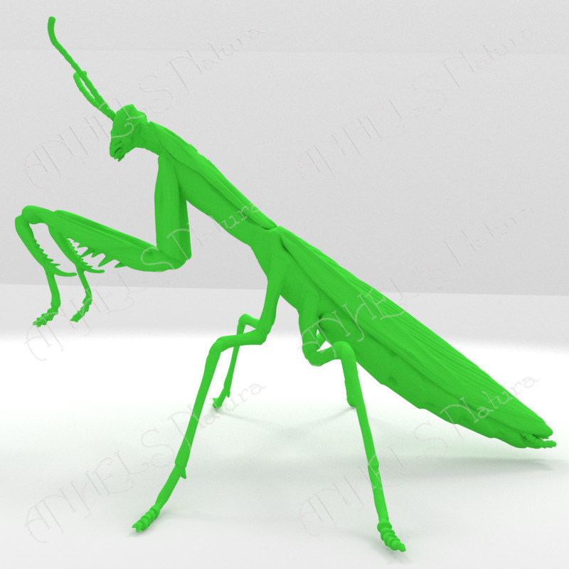 🙏 Praying mantis・ STL File for 3D printing・Cults