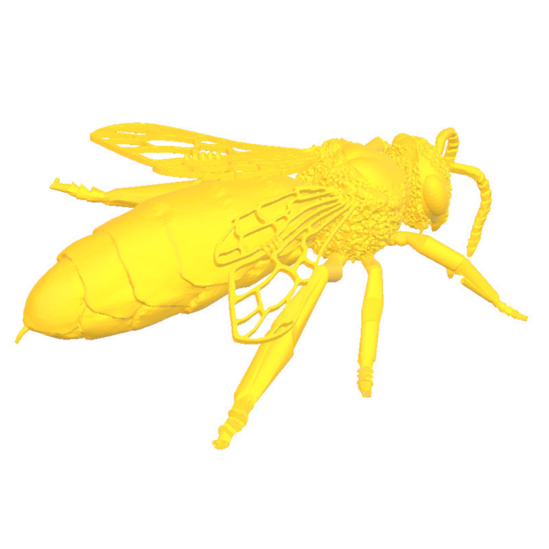 👸 QUEEN BEE (APIS MELLIFERA) Realistic・ STL File for 3D printing・Cults