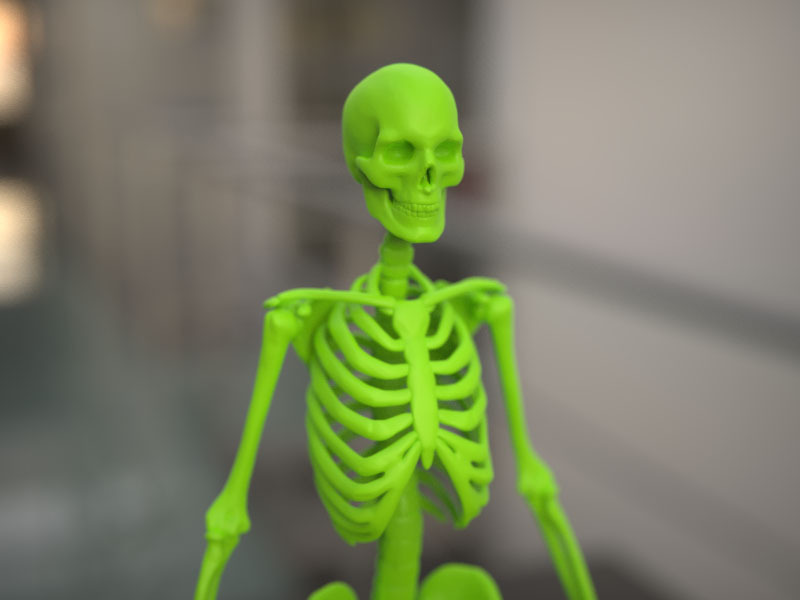 💀 Human Skeleton Display Model by Marco Valenzuela・ 3D File for ・Cults