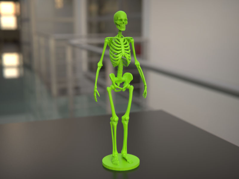 💀 Human Skeleton Display Model by Marco Valenzuela・ 3D File for ・Cults
