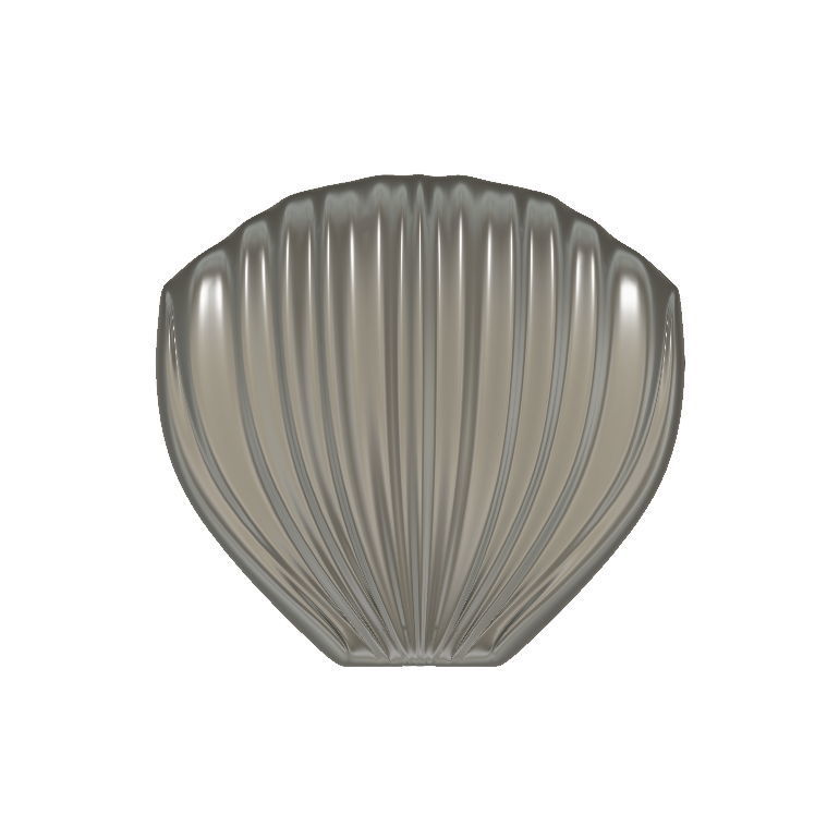 STL file Opening Seashell Collection 🎁 ・3D printer design to download・Cults