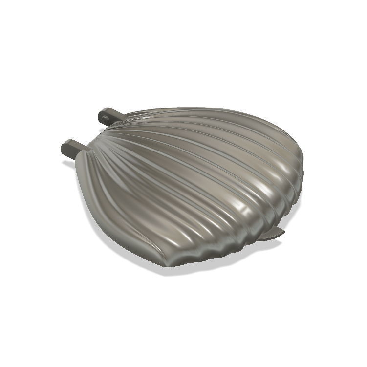 STL file Opening Seashell Collection 🎁 ・3D printer design to download・Cults