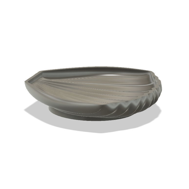 STL file Opening Seashell Collection 🎁 ・3D printer design to download・Cults