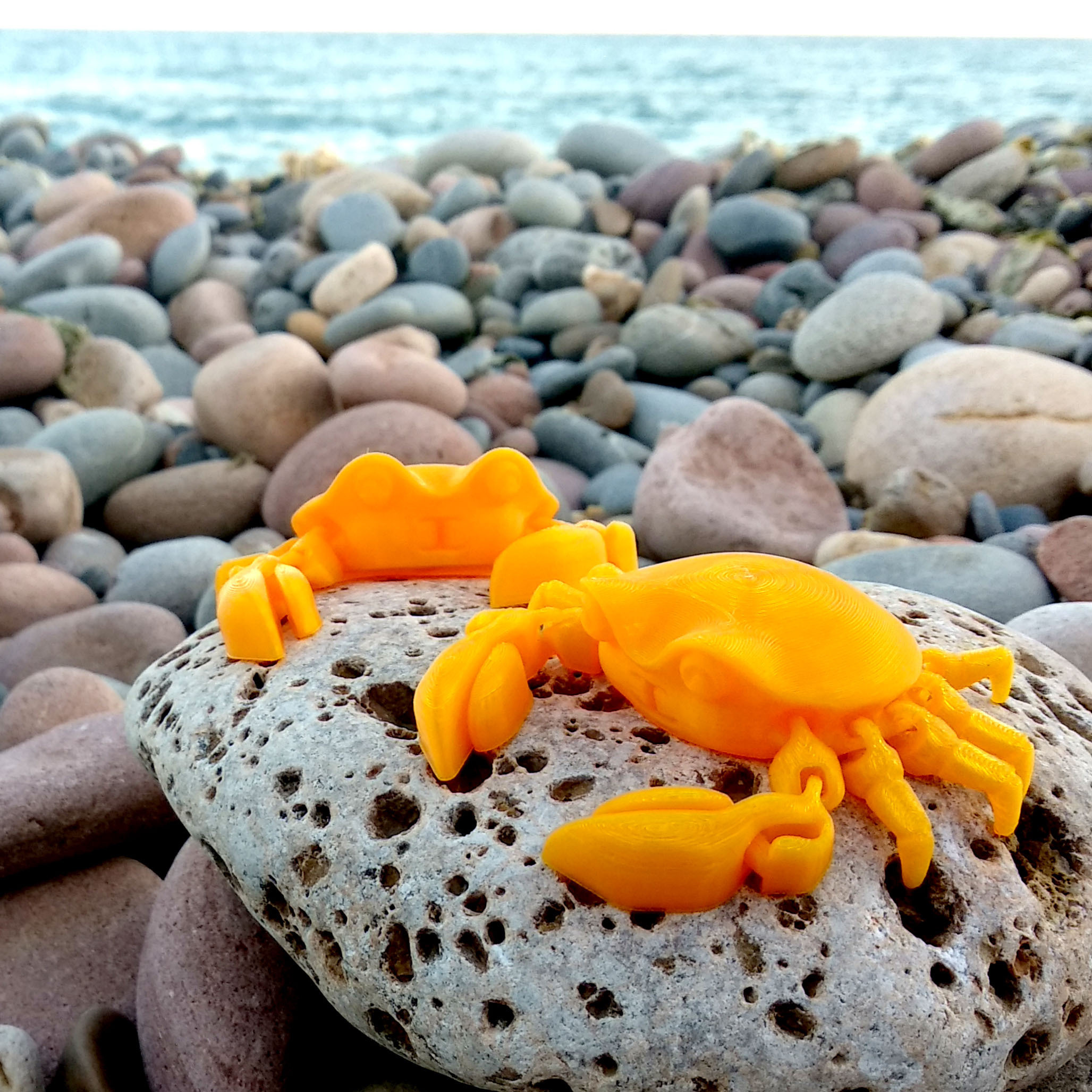 🦀 Articulated Crab・ STL File for ・Cults