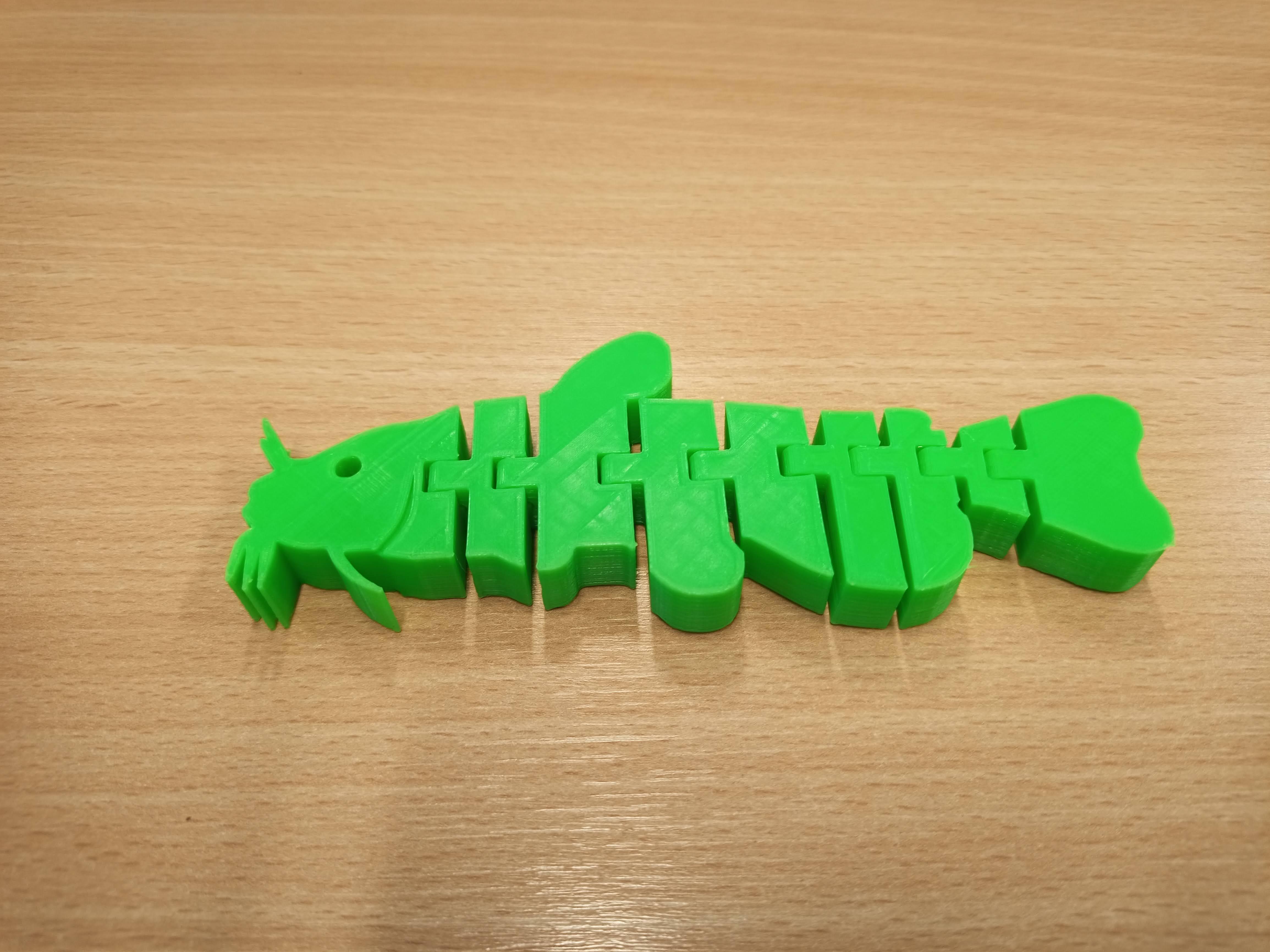 🐠 Flexi-Catfish・3D Print・Cults