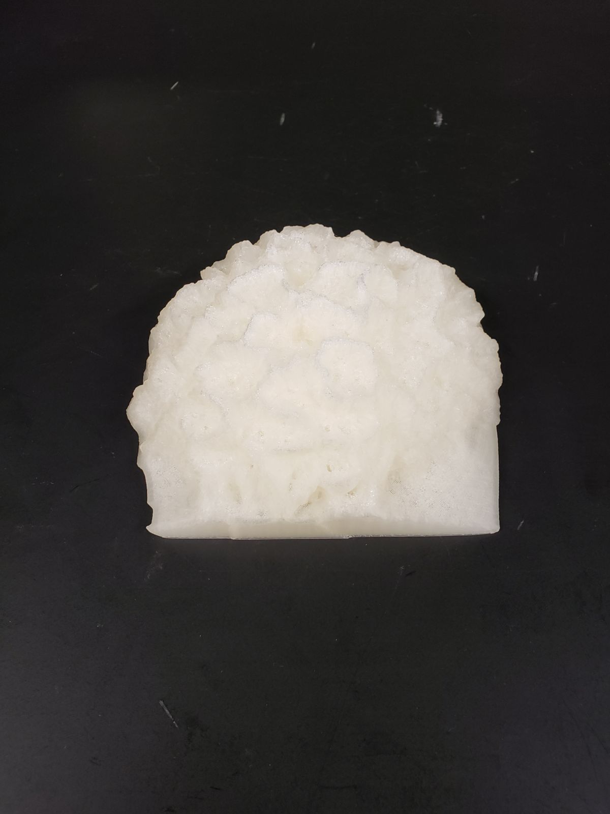 Free STL file 3D Scanned Corals 🪸 ・Model to download and 3D print・Cults