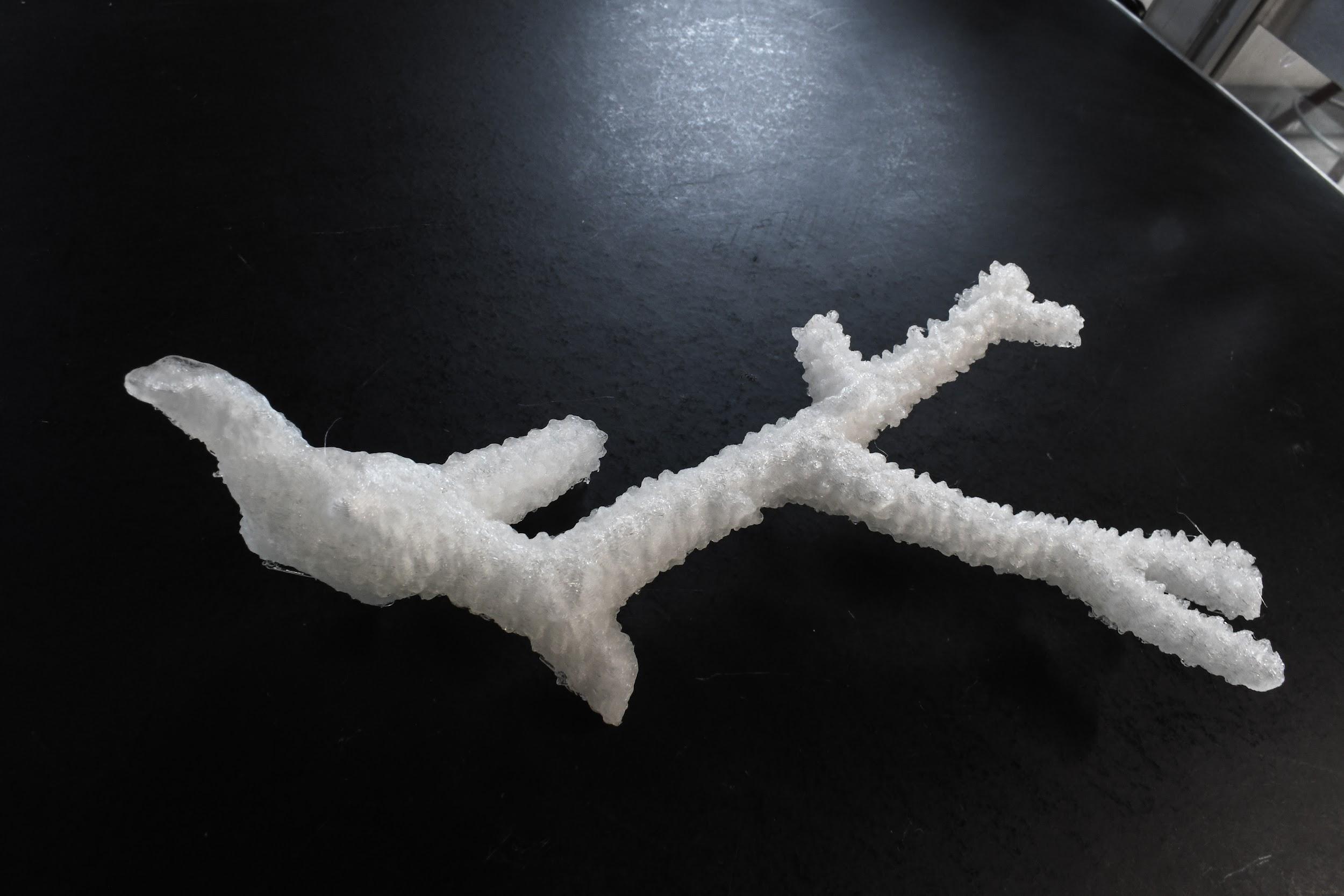 Free STL file 3D Scanned Corals 🪸 ・Model to download and 3D print・Cults