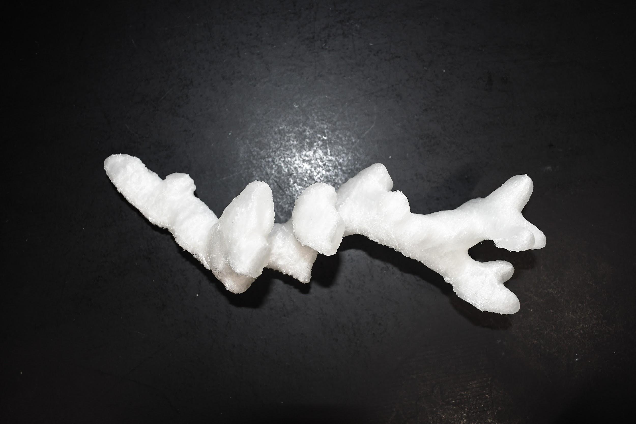 Free STL file 3D Scanned Corals 🪸 ・Model to download and 3D print・Cults