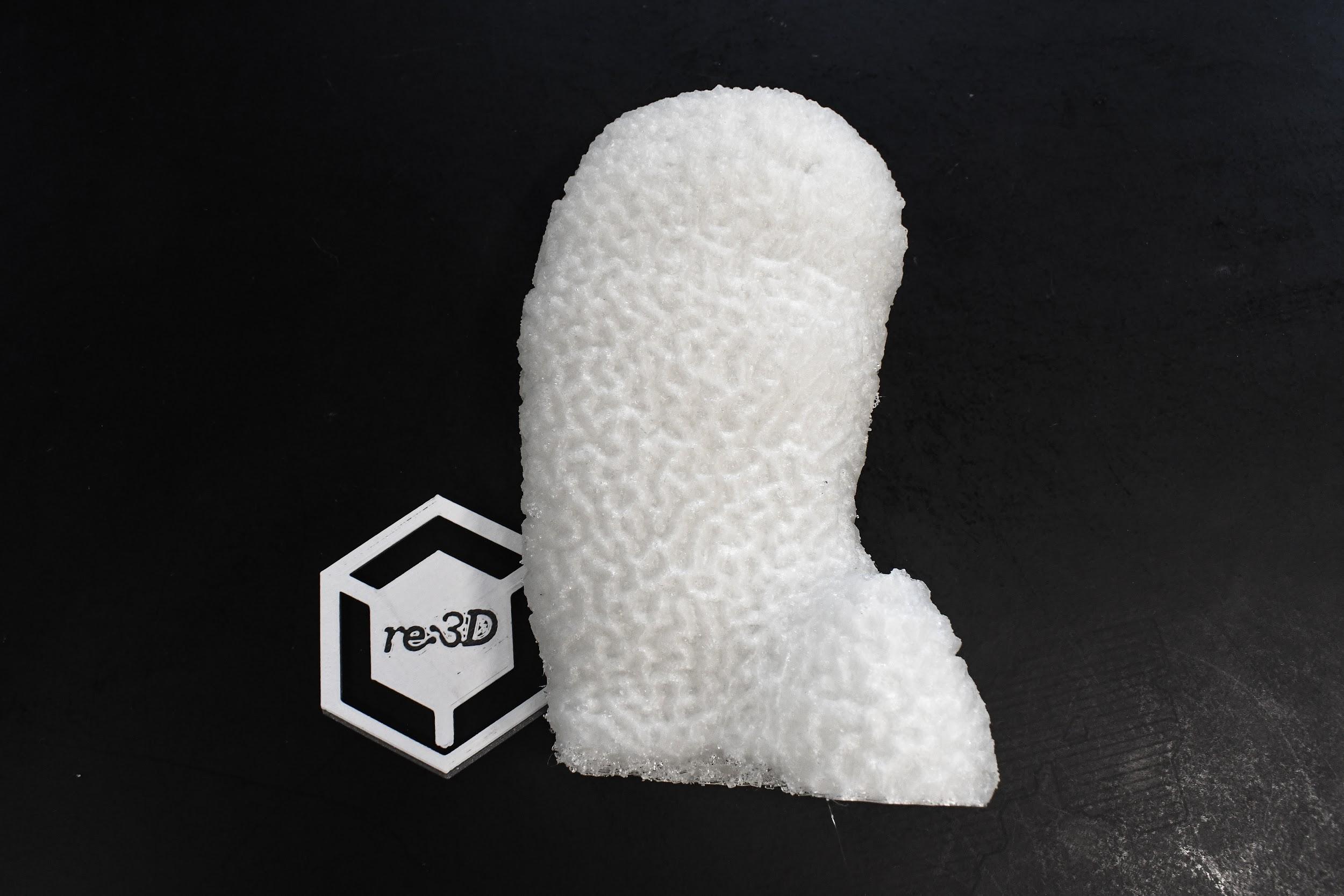 Free STL file 3D Scanned Corals 🪸 ・Model to download and 3D print・Cults