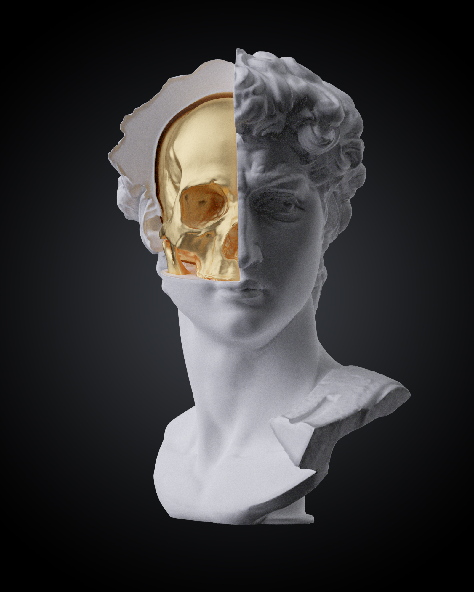 💀 David's Skull・Free STL File for ・Cults