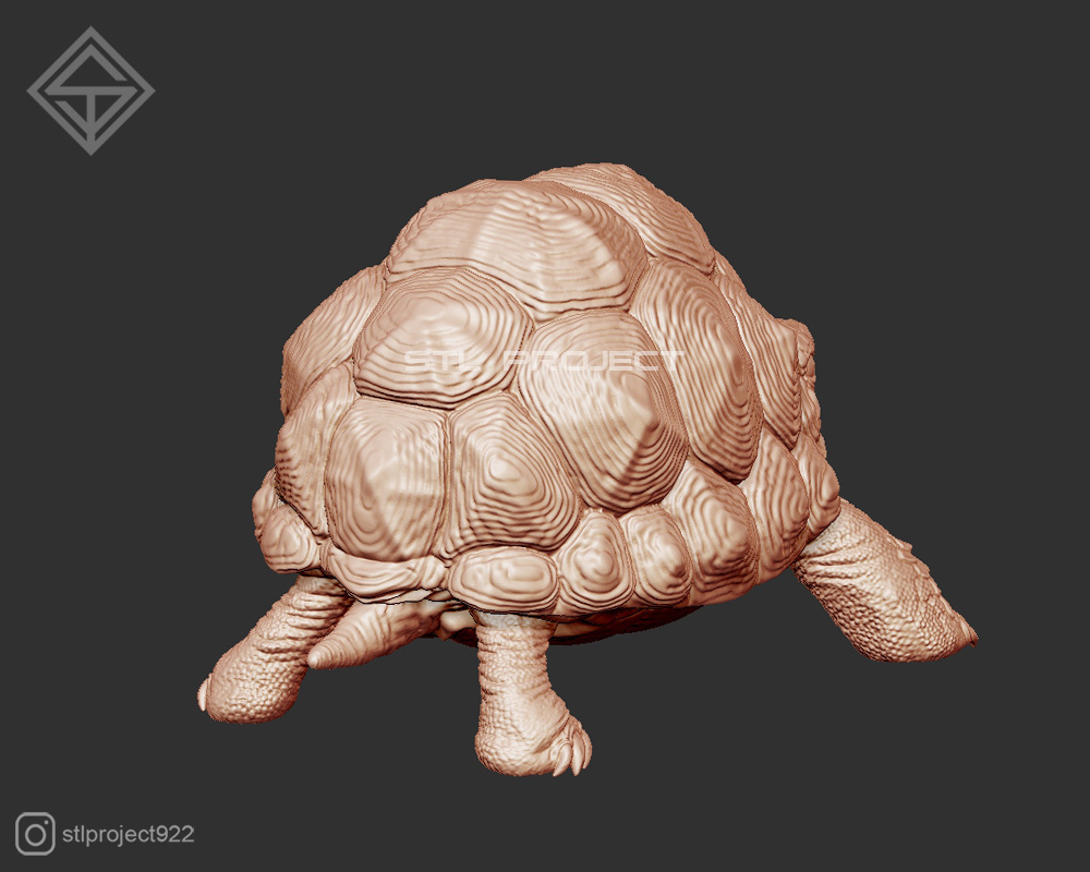 ⭐ Star Tortoise・ STL File for ・Cults