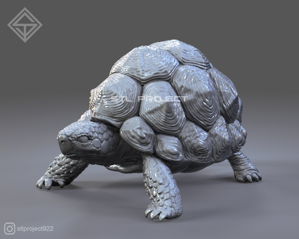 ⭐ Star Tortoise・ STL File for ・Cults