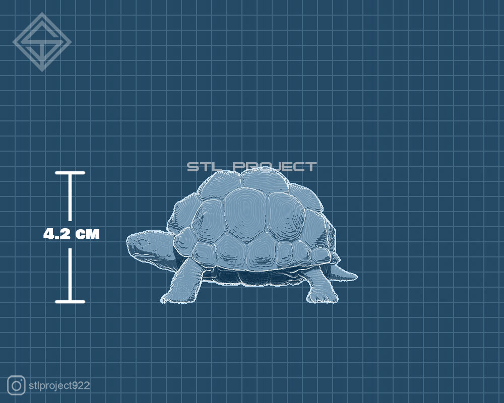 ⭐ Star Tortoise・ STL File for ・Cults