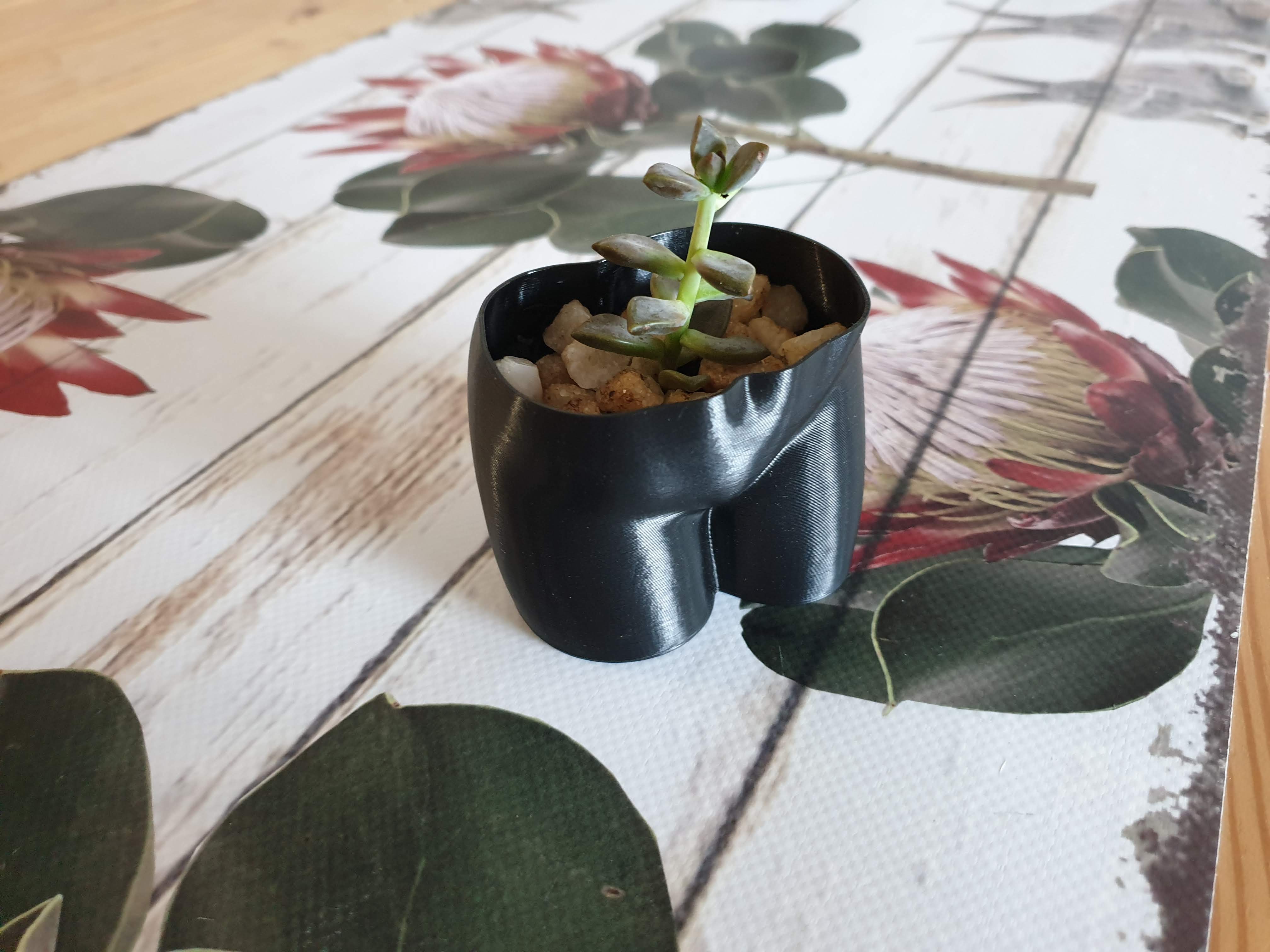 🪴 Butt Planter aka Torso Plant Pot・ STL File for ・Cults