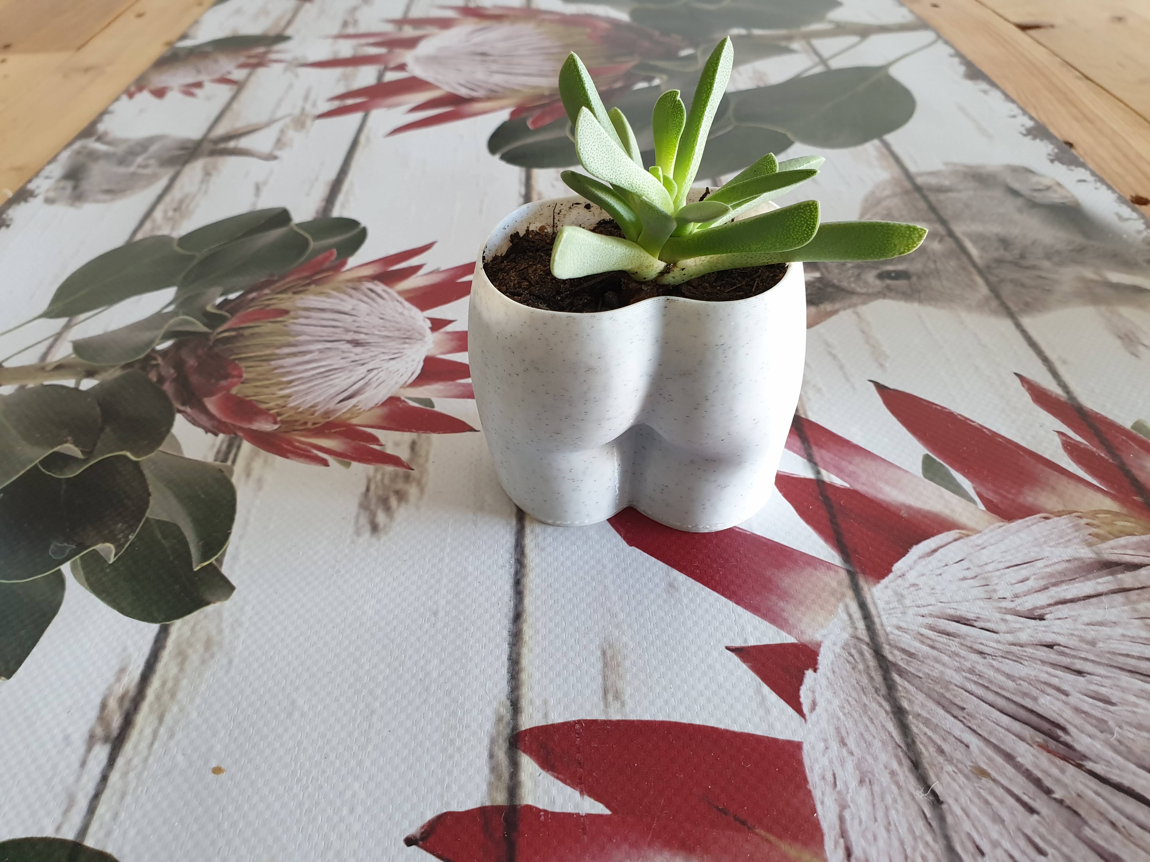 🪴 Butt Planter aka Torso Plant Pot・ STL File for ・Cults