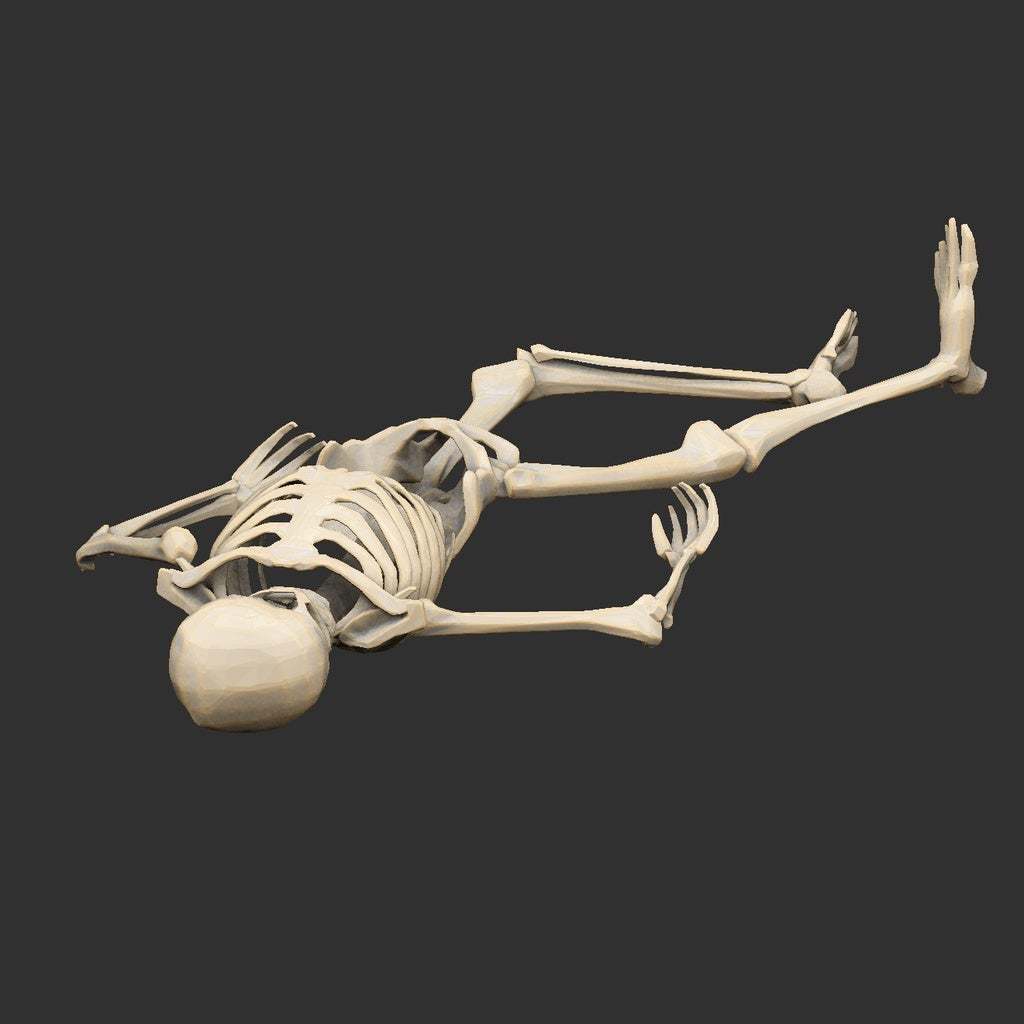 😵 Dead Skeletons Posed x4・Free STL File for ・Cults