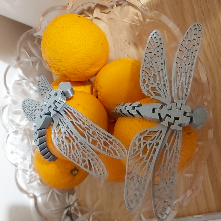 3D printing Floppy Dragonfly・Cults