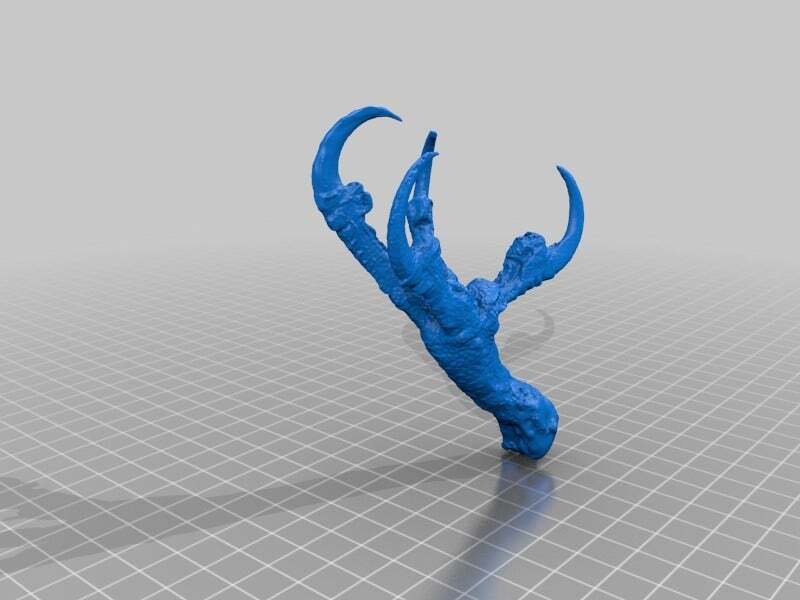 Bird Claw 3d Print