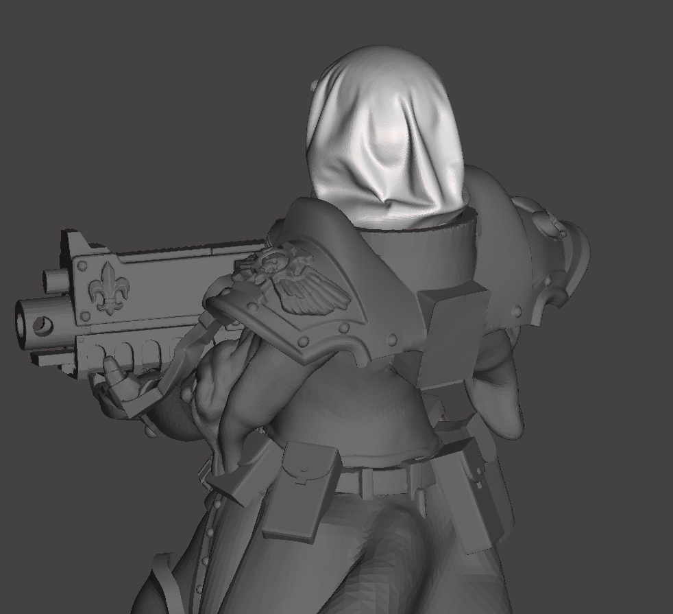 🎲 Sister of Battle Hooded Head・Free STL File for ・Cults