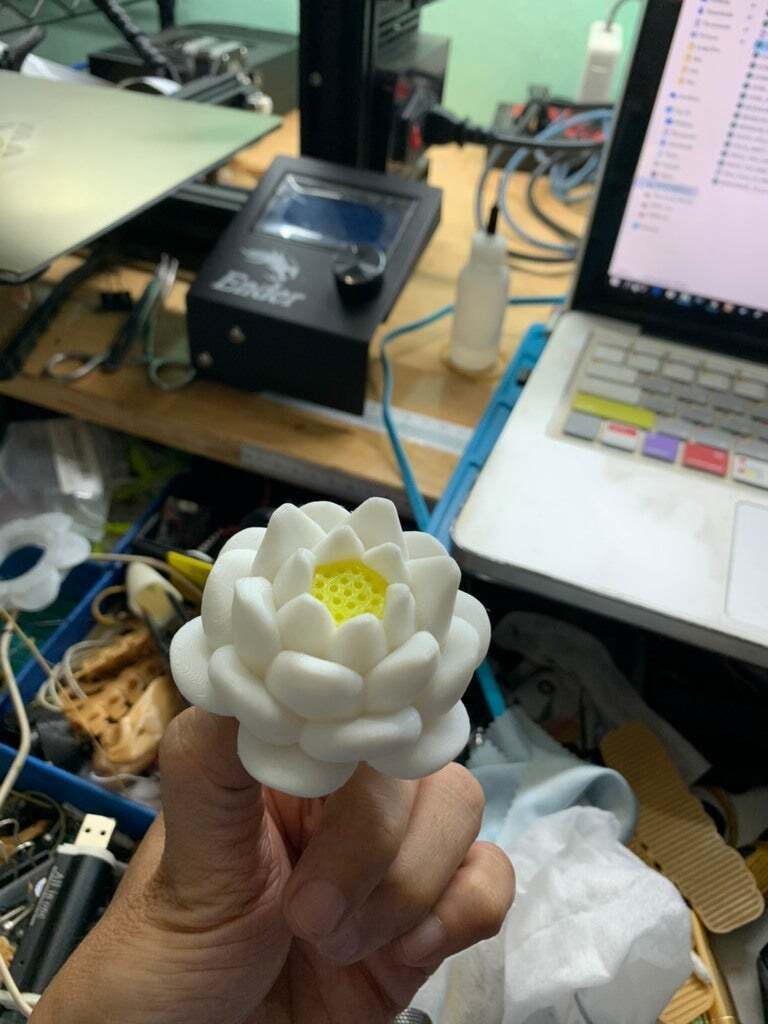 Free STL file Lotus flower Vietnam 🪷 ・3D printing design to download・Cults