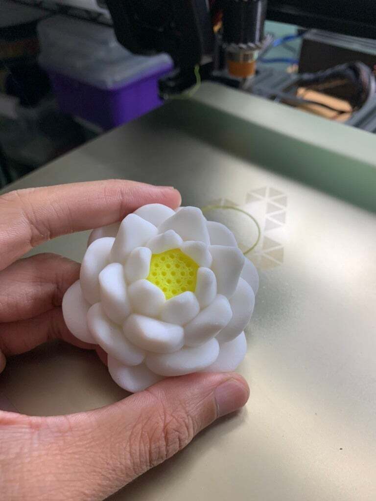 Free STL file Lotus flower Vietnam 🪷 ・3D printing design to download・Cults