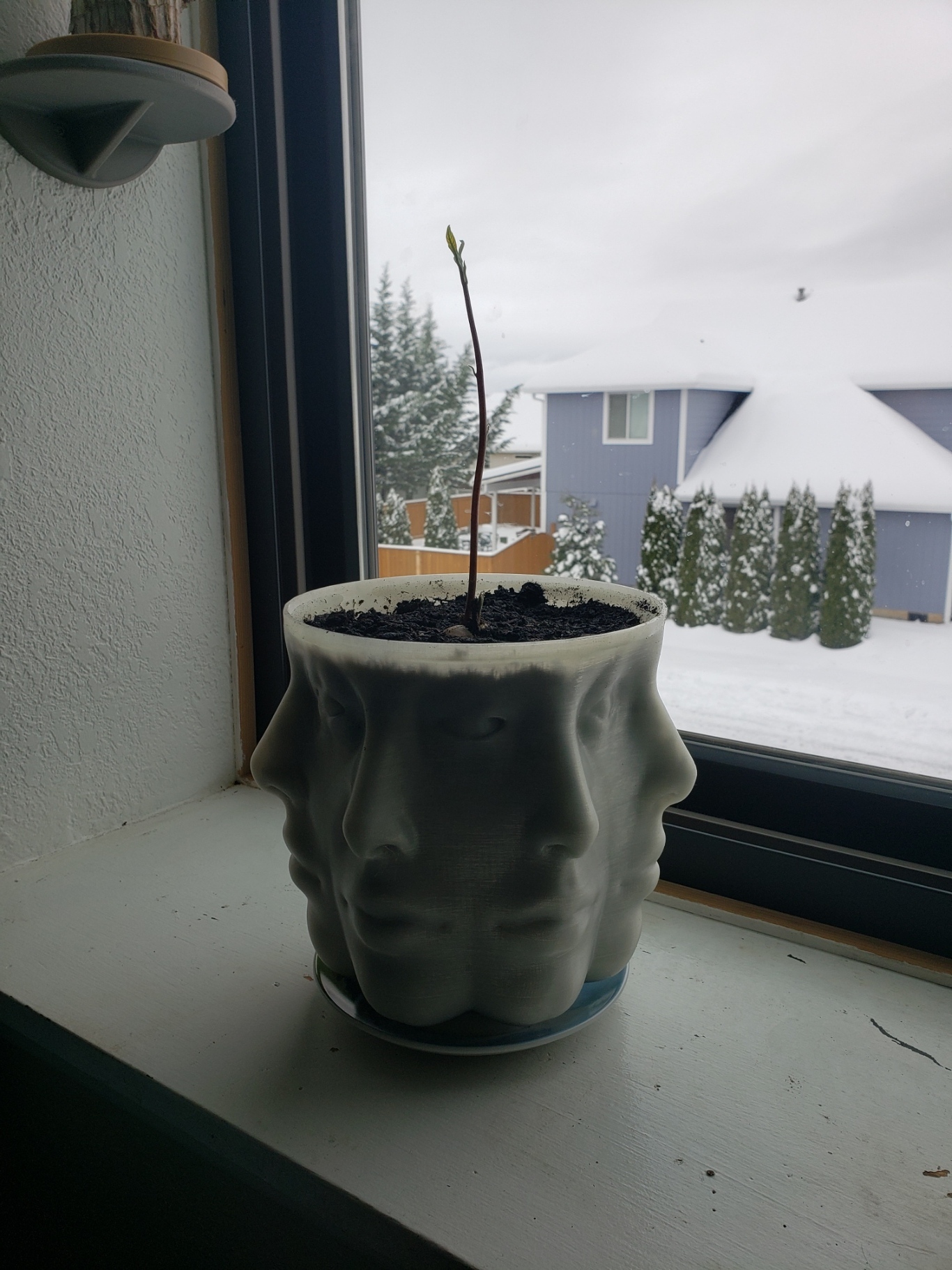 3D printing PolyFace Planter • made with Prusa i3 mk3s・Cults