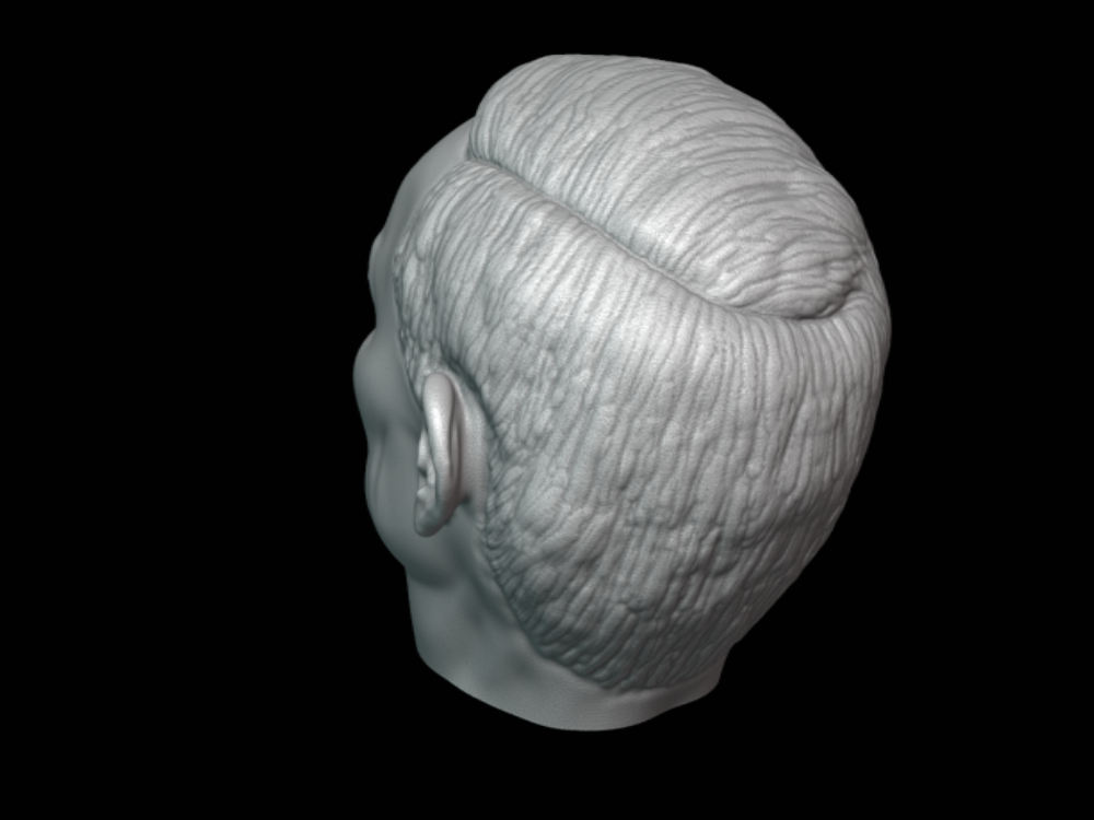 🗿 Vladimir Putin Head detailed 3D printable・ STL File for ・Cults
