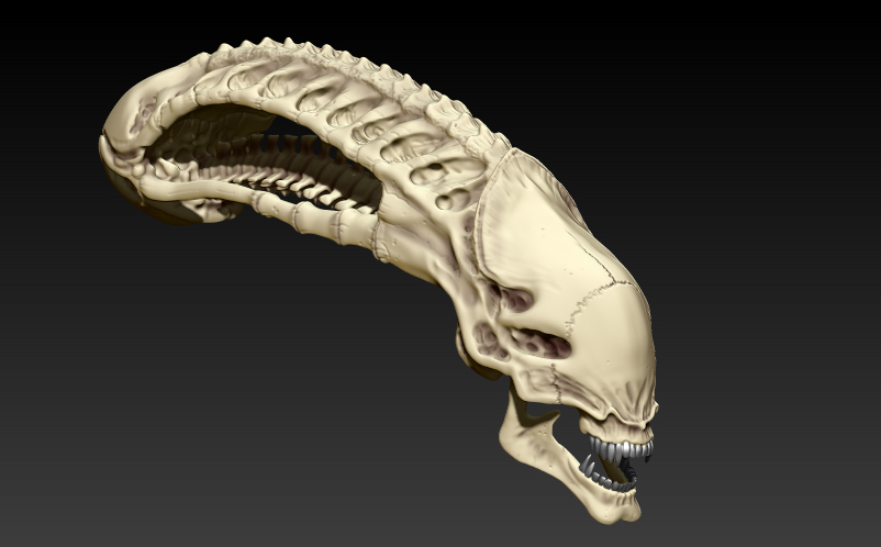 👽 ALIEN VS PREDATOR SKULL PACK・ STL File for 3D printing・Cults