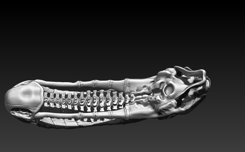 👽 ALIEN VS PREDATOR SKULL PACK・ STL File for 3D printing・Cults