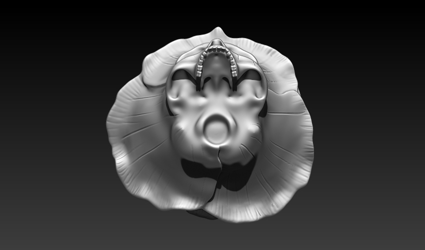 🌹 ROSE SKULL・ STL File for ・Cults