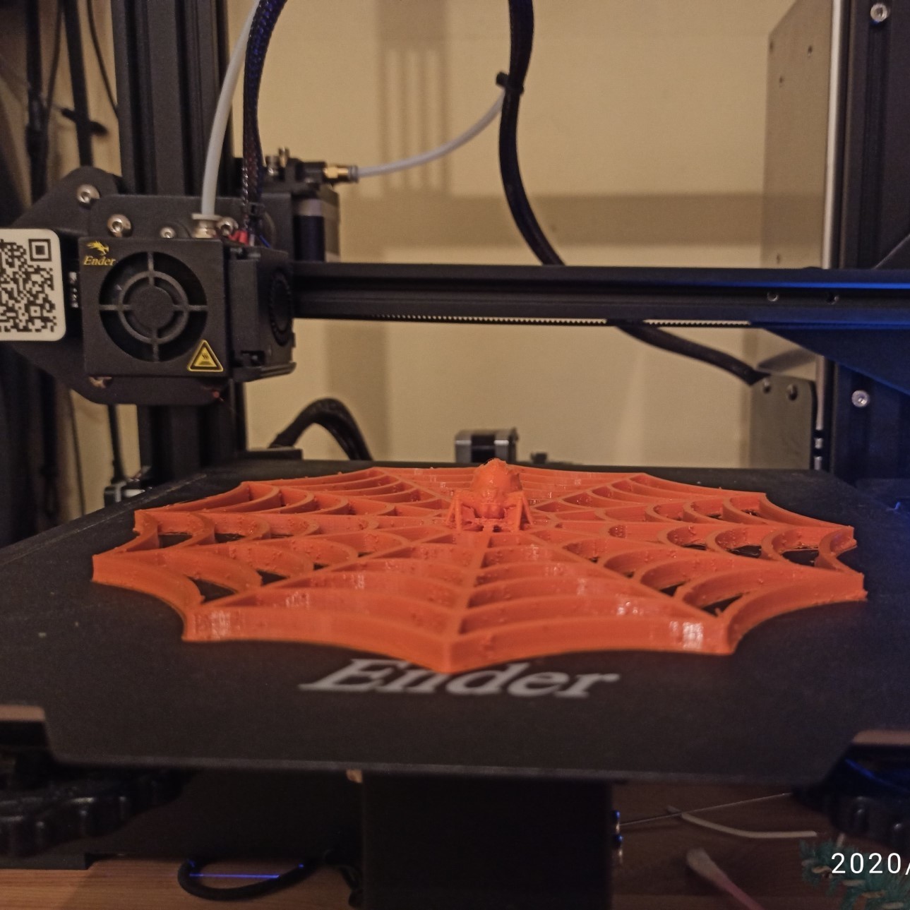 Free STL file Spider's Web 🕸️・3D print object to download・Cults