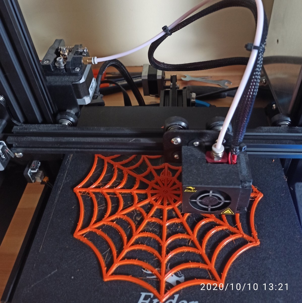 Free STL file Spider's Web 🕸️・3D print object to download・Cults