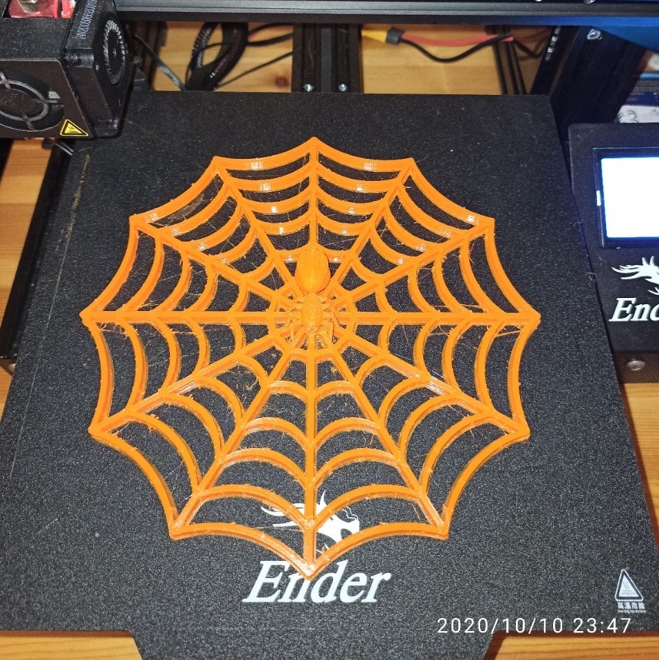 Free STL file Spider's Web 🕸️・3D print object to download・Cults